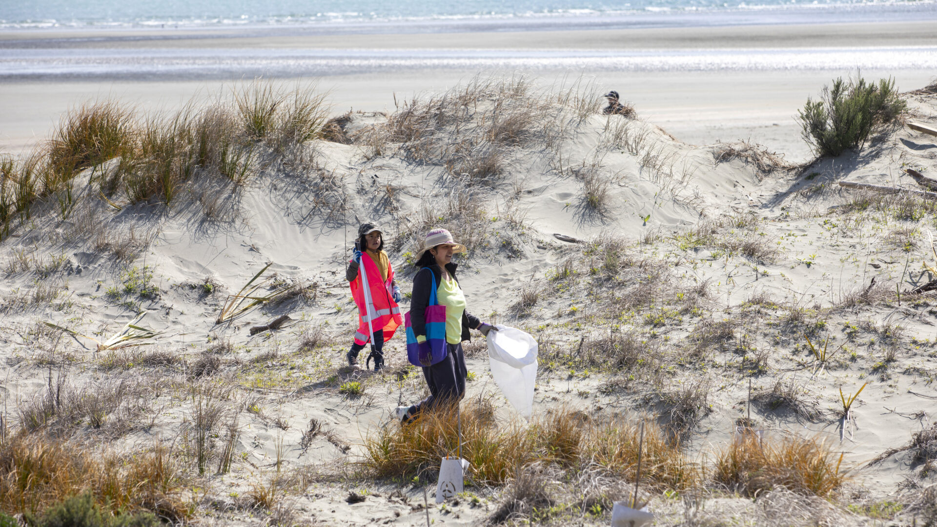 Beach Clean Up - Tahuna Beach Holiday Park | Creating lifelong memories...